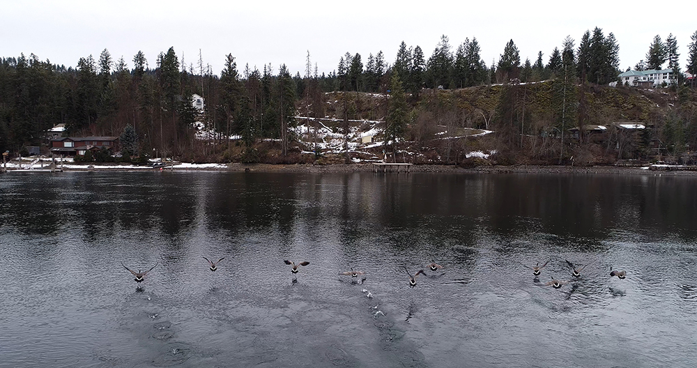 Terrible Video Quality Need Help DJI FORUM terrible-video-quality-need-help-dji-forum